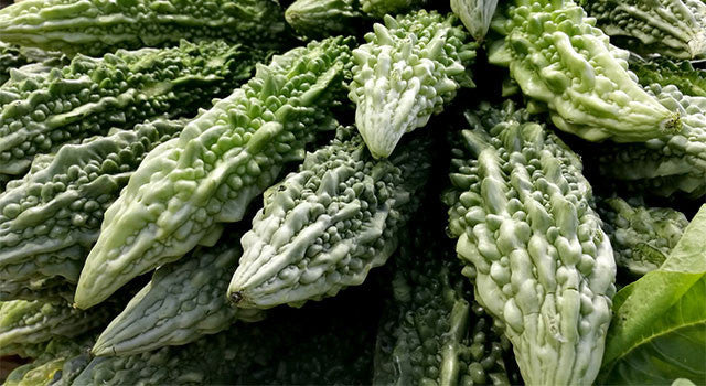 Bitter Melon: Getting to Know Your Herbal Allies – Banyan Botanicals