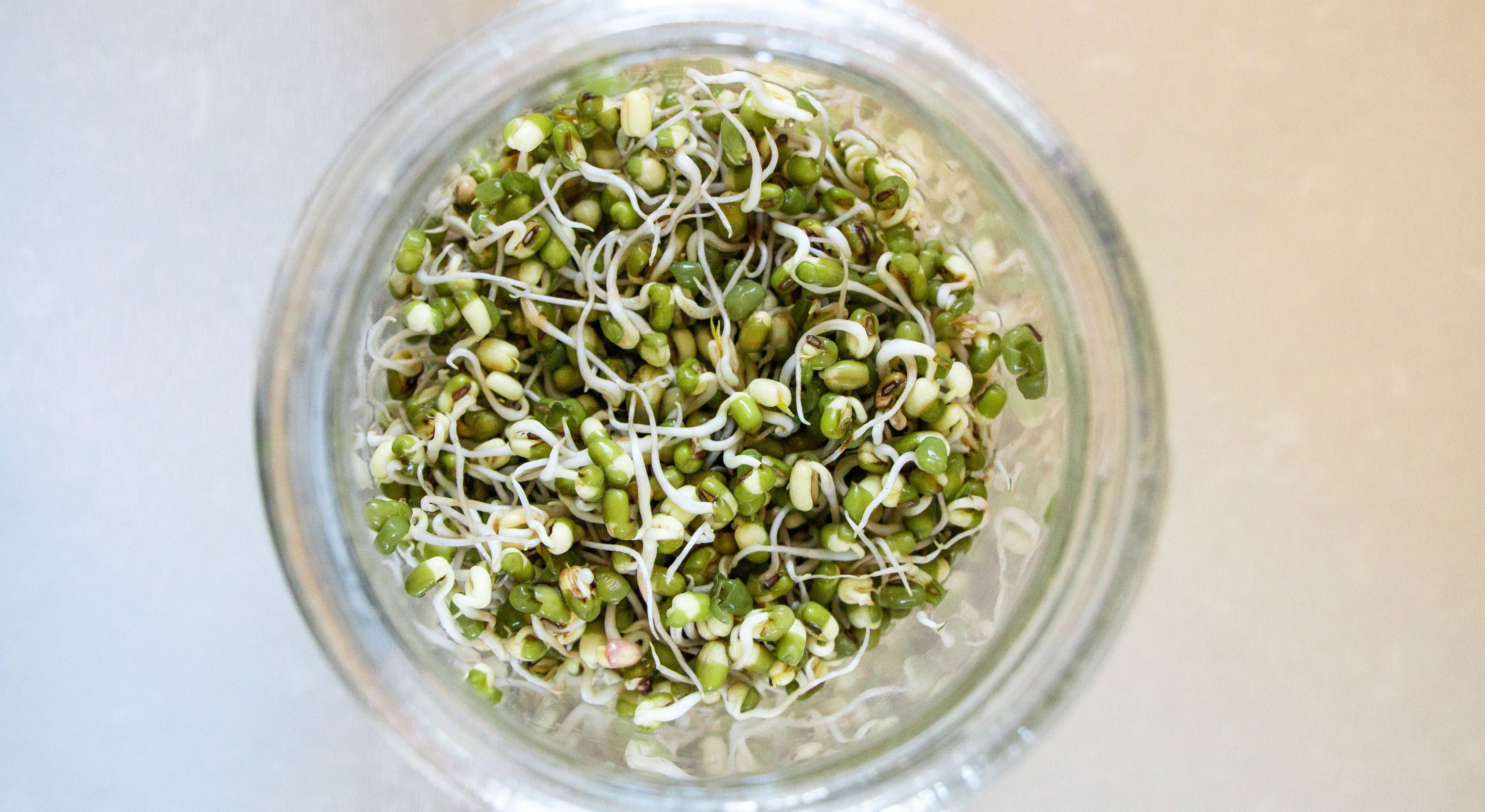 How to Sprout Green Mung Beans – Banyan Botanicals