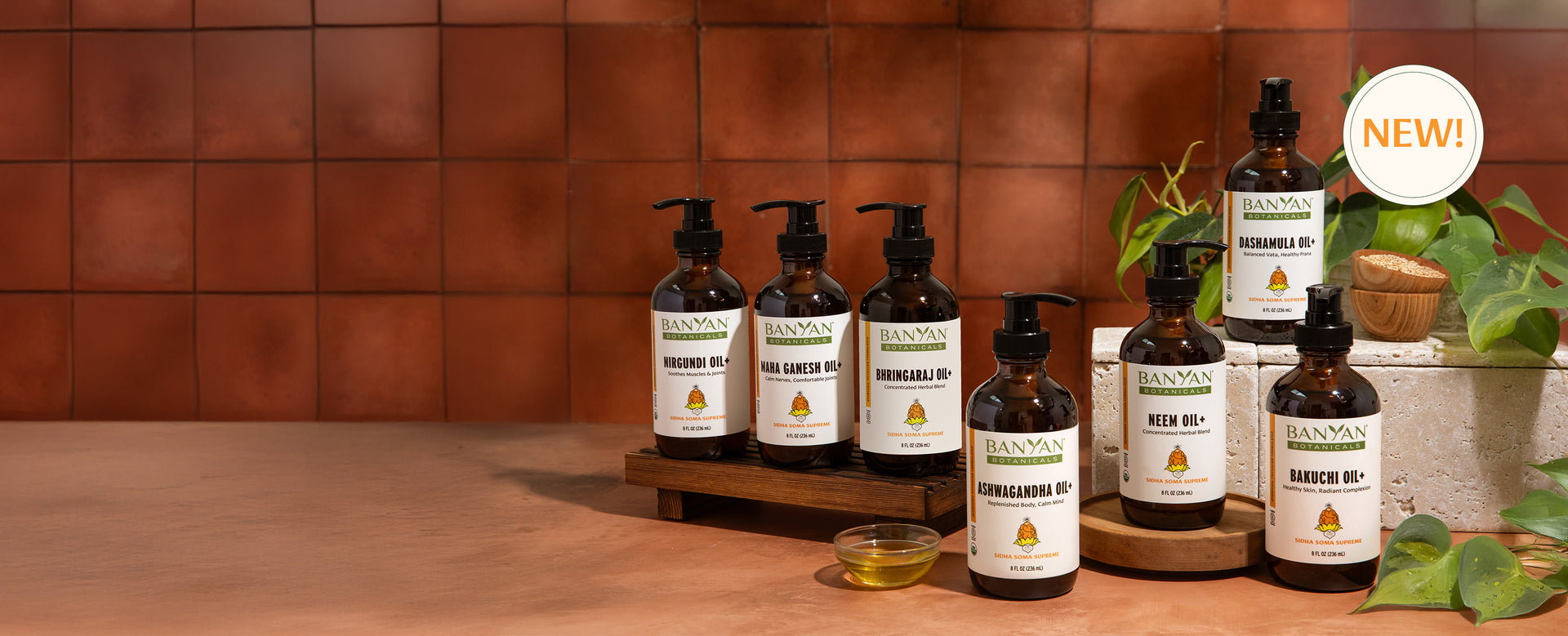 Ayurvedic Products & Holistic Health | Banyan Botanicals