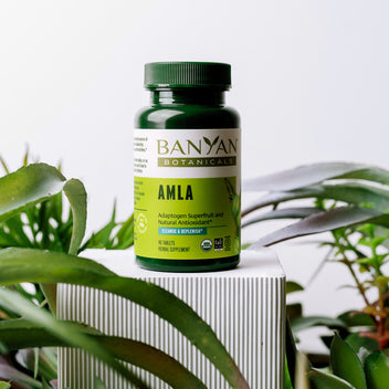 The Benefits of Amalaki (Amla) | Indian Gooseberry – Banyan Botanicals