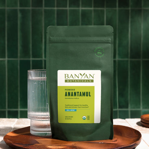 Indian Sarsaparilla Root Powder | Anantamul Hemidesmus Indicus |Nannari ...