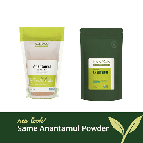 Indian Sarsaparilla Root Powder | Anantamul Hemidesmus Indicus |Nannari ...