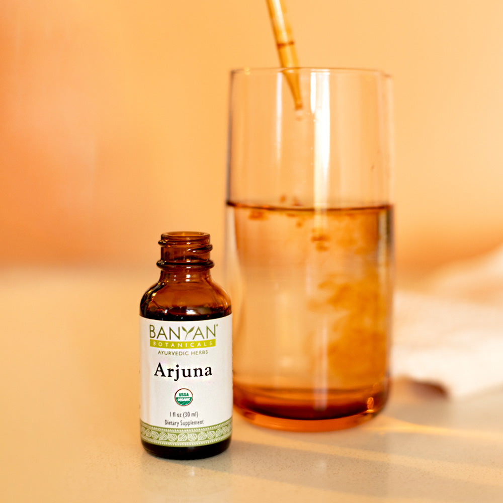 Herbal Extracts | Ayurvedic Liquid Extracts – Banyan Botanicals