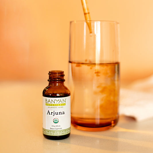 Ayurveda's RPM: the Channels of Love – Banyan Botanicals