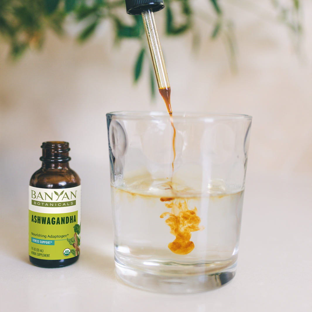 Organic Herbs & Supplements for Men | Male Supplements – Banyan Botanicals