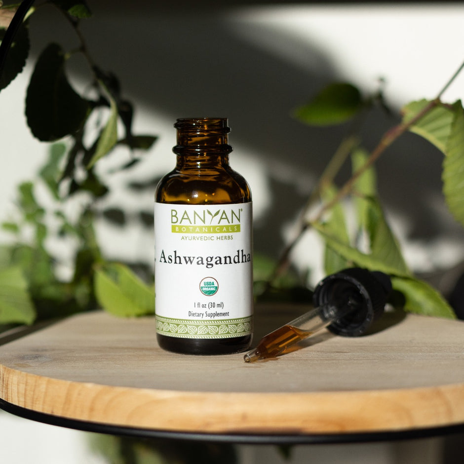 Organic Herbs & Supplements for Men | Male Supplements – Banyan Botanicals