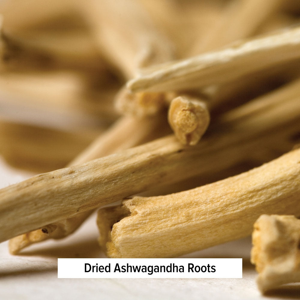 Ashwagandha Extract | Ashwagandha Root Extract | Withania Somnifera ...