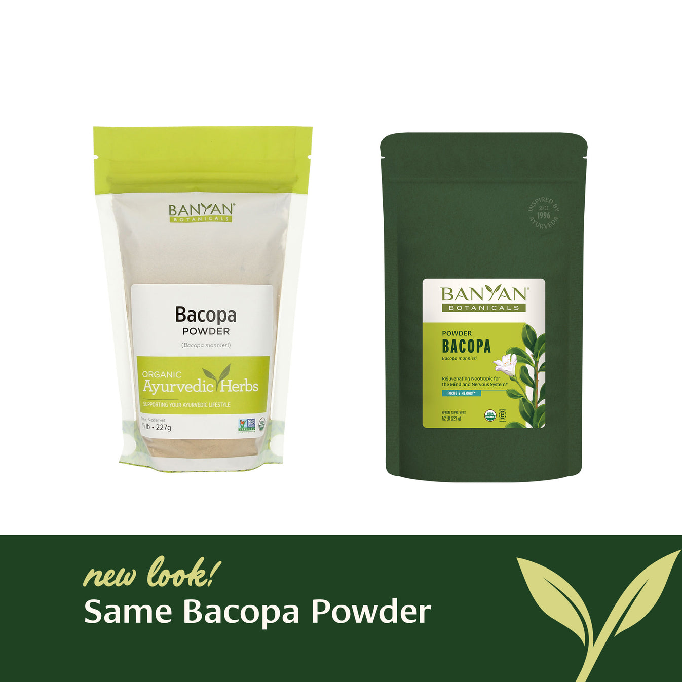 Bacopa Powder | Bacopa Monnieri Powder – Banyan Botanicals