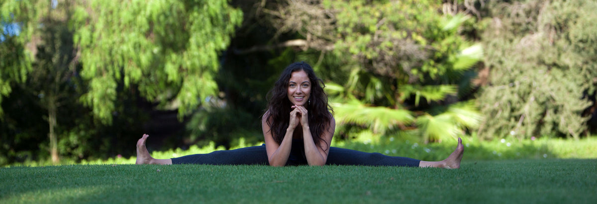 Pitta Dosha Balancing - Ayurveda – Banyan Botanicals