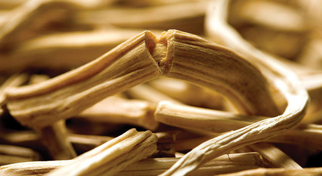 Ayurvedic Herbs | Reference Guide – Banyan Botanicals