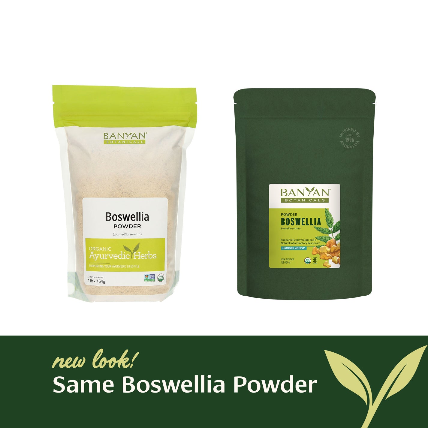 Organic Boswellia Serrata Resin Powder | Indian Frankincense Powder ...