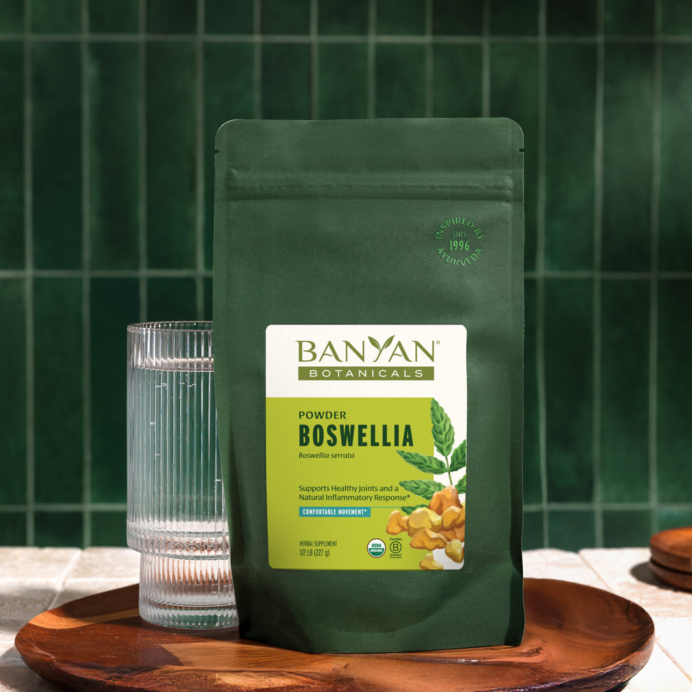 Organic Boswellia Serrata Resin Powder | Indian Frankincense Powder ...