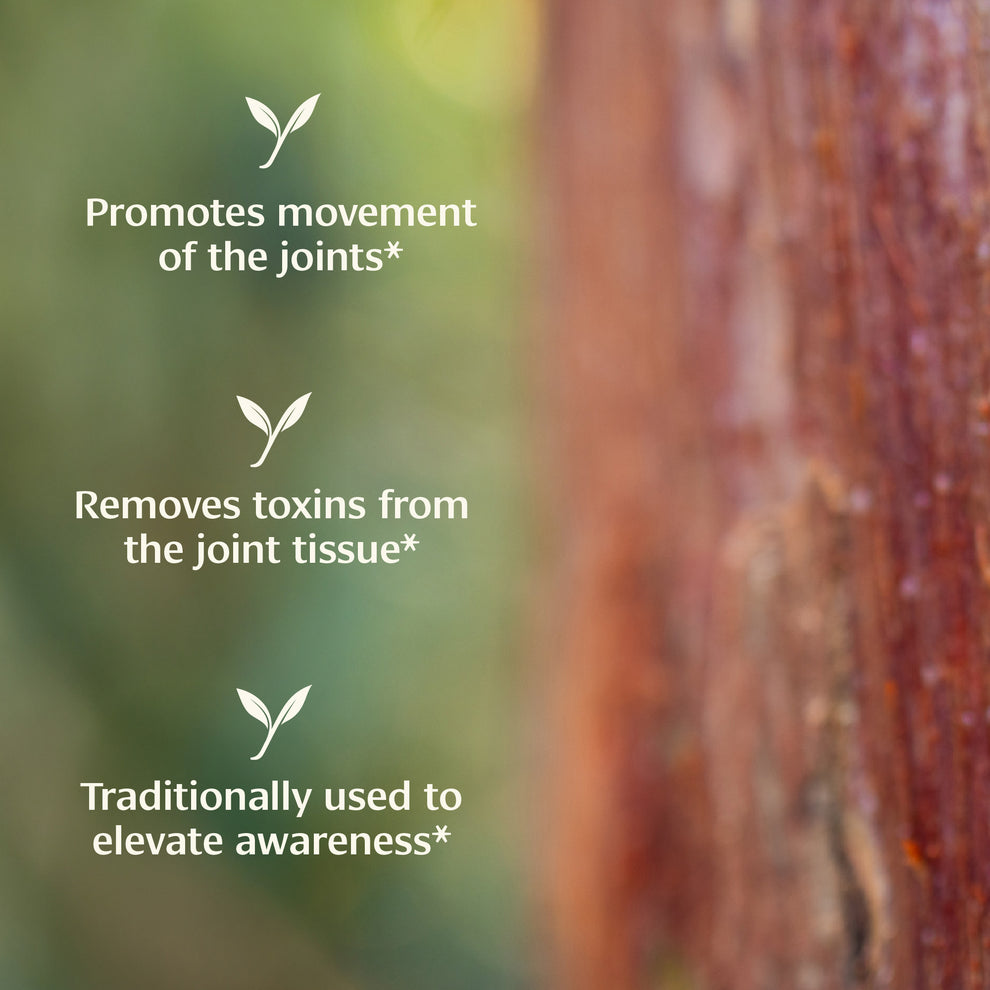 Organic Boswellia Serrata Resin Powder | Indian Frankincense Powder ...