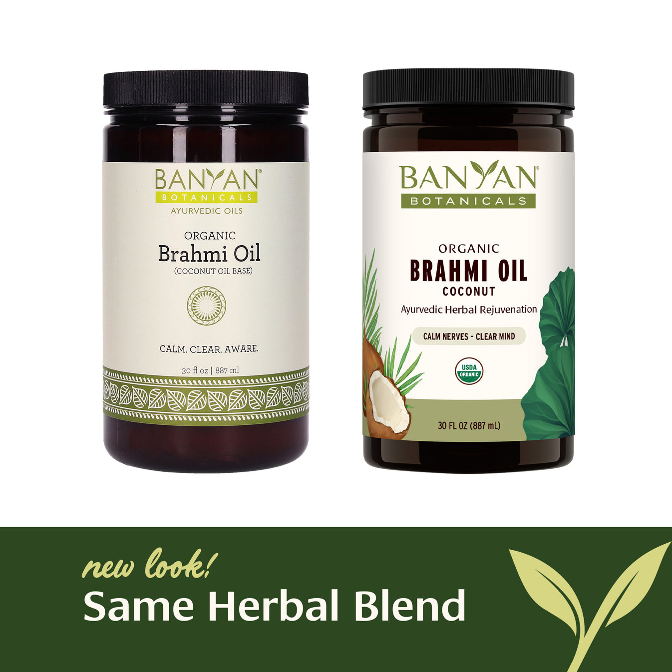 Brahmi Oil (Coconut Oil Base) | Gotu Kola Oil | Herbal Oil – Banyan ...