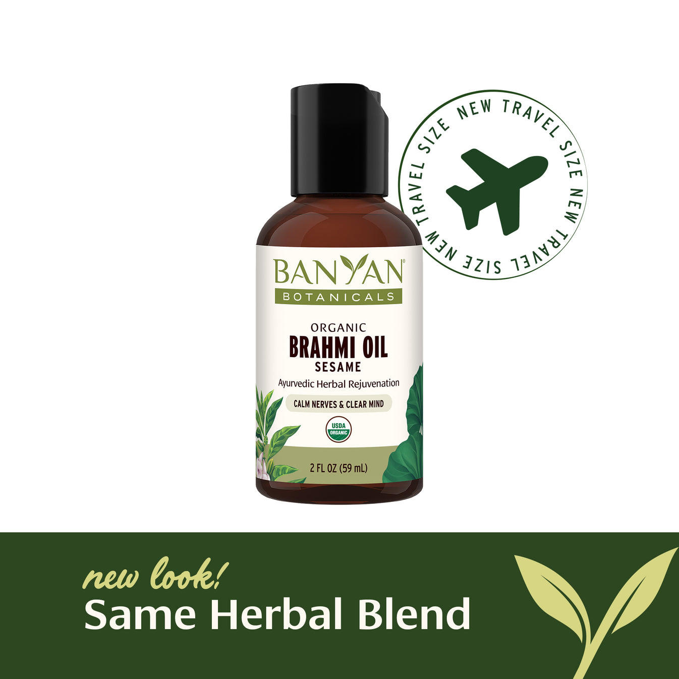 Brahmi Oil (Sesame Oil Base) | Gotu Kola Oil | Herbal Body Oil – Banyan ...