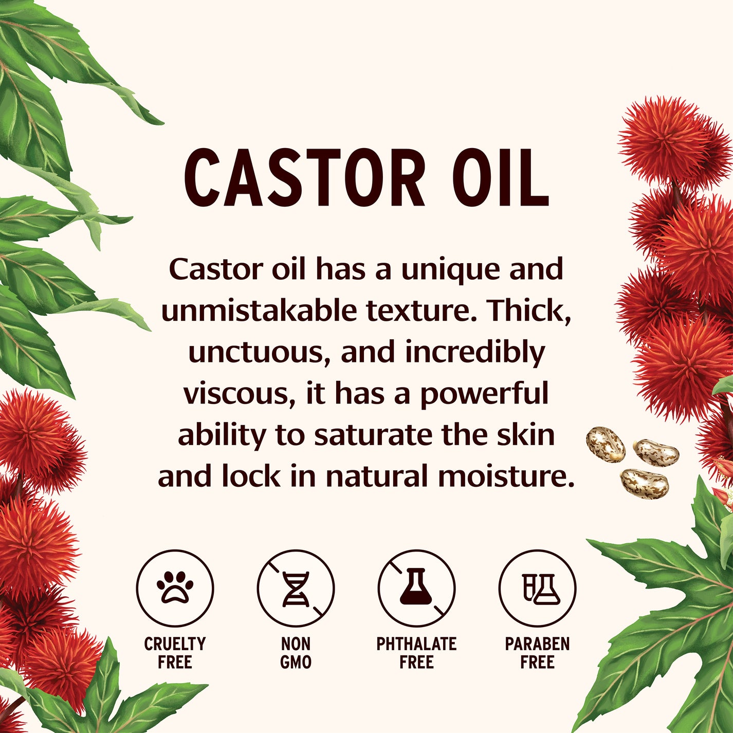 Organic Castor Oil |For Skin, Hair & Wellness | Various Sizes – Banyan ...