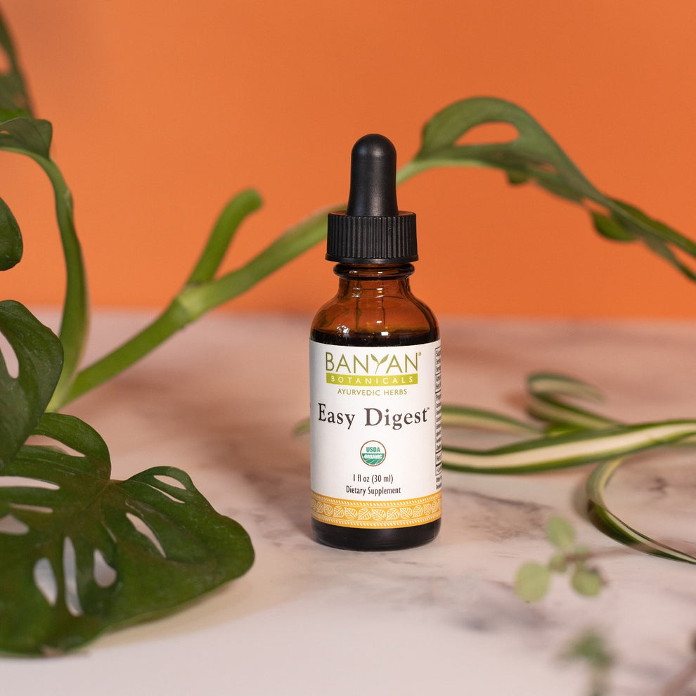 Easy Digest Herbal Extract | Digestive Aids & Supplements | Improve ...