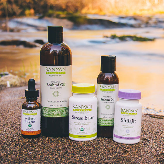 All About Ojas: How to Build Your Sustainable Energy – Banyan Botanicals