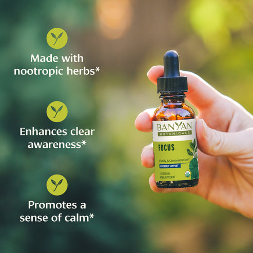 Focus Herbal Extract | Focus Supplements & Herbal Extracts ...