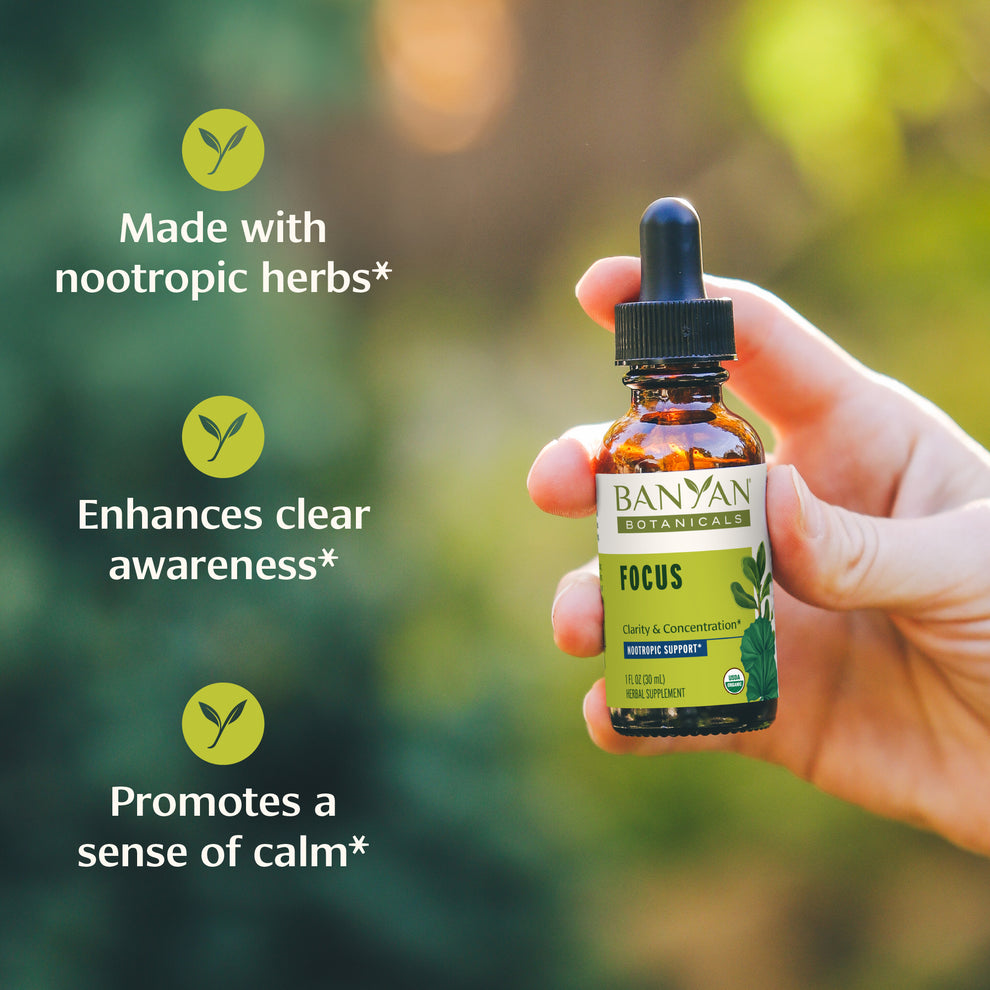 Focus Herbal Extract | Focus Supplements & Herbal Extracts ...