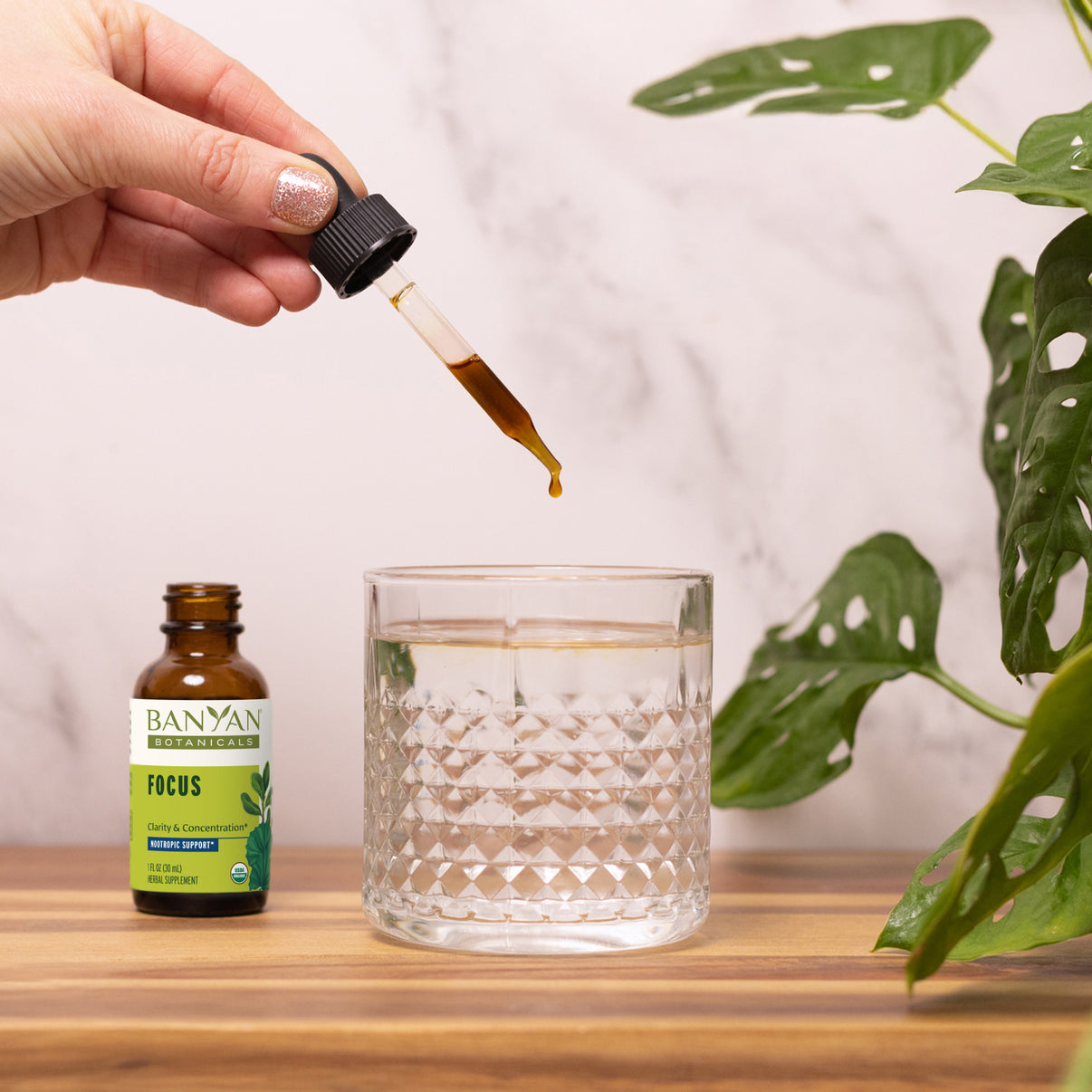 Focus Herbal Extract | Focus Supplements & Herbal Extracts ...