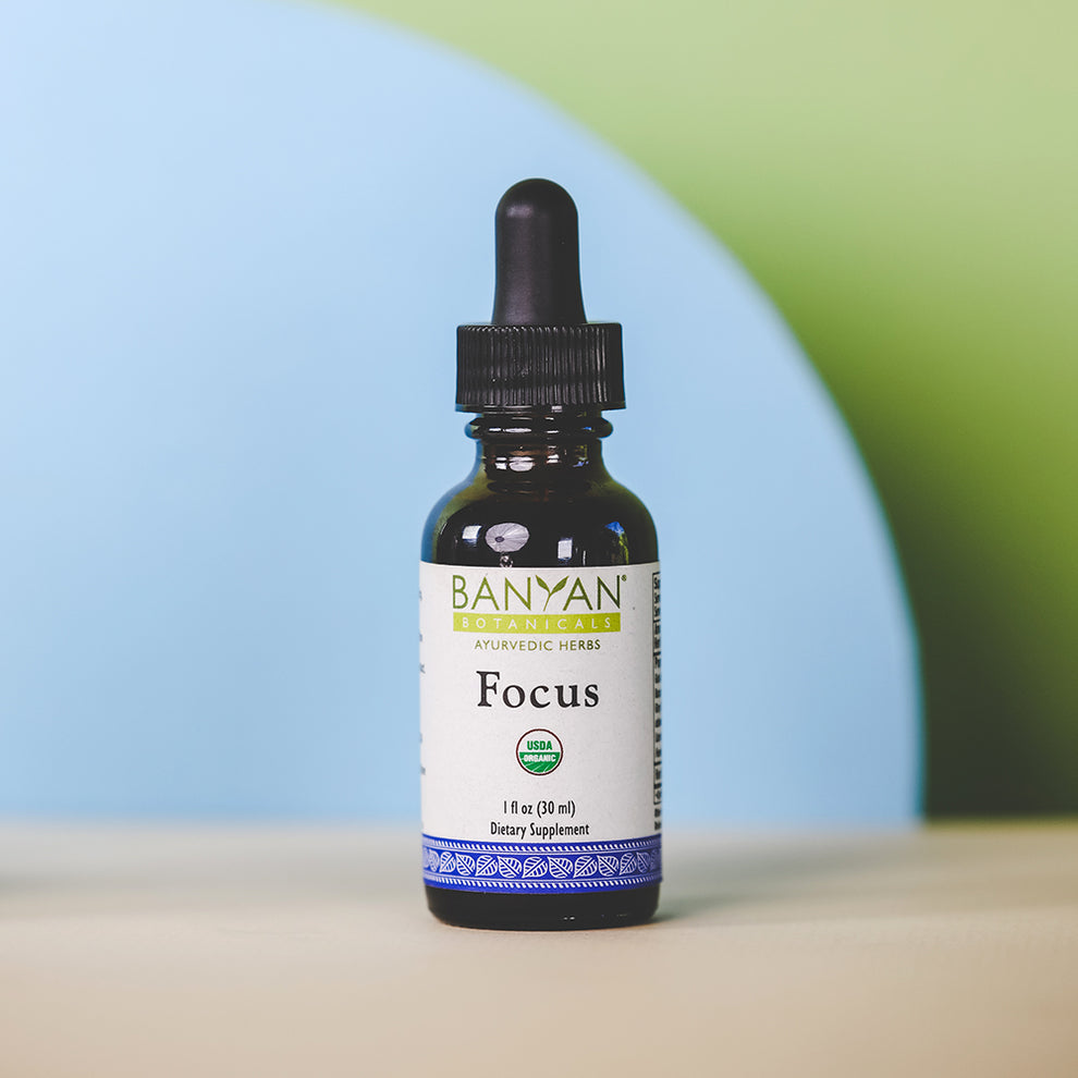 Focus Herbal Extract | Focus Supplements & Herbal Extracts ...
