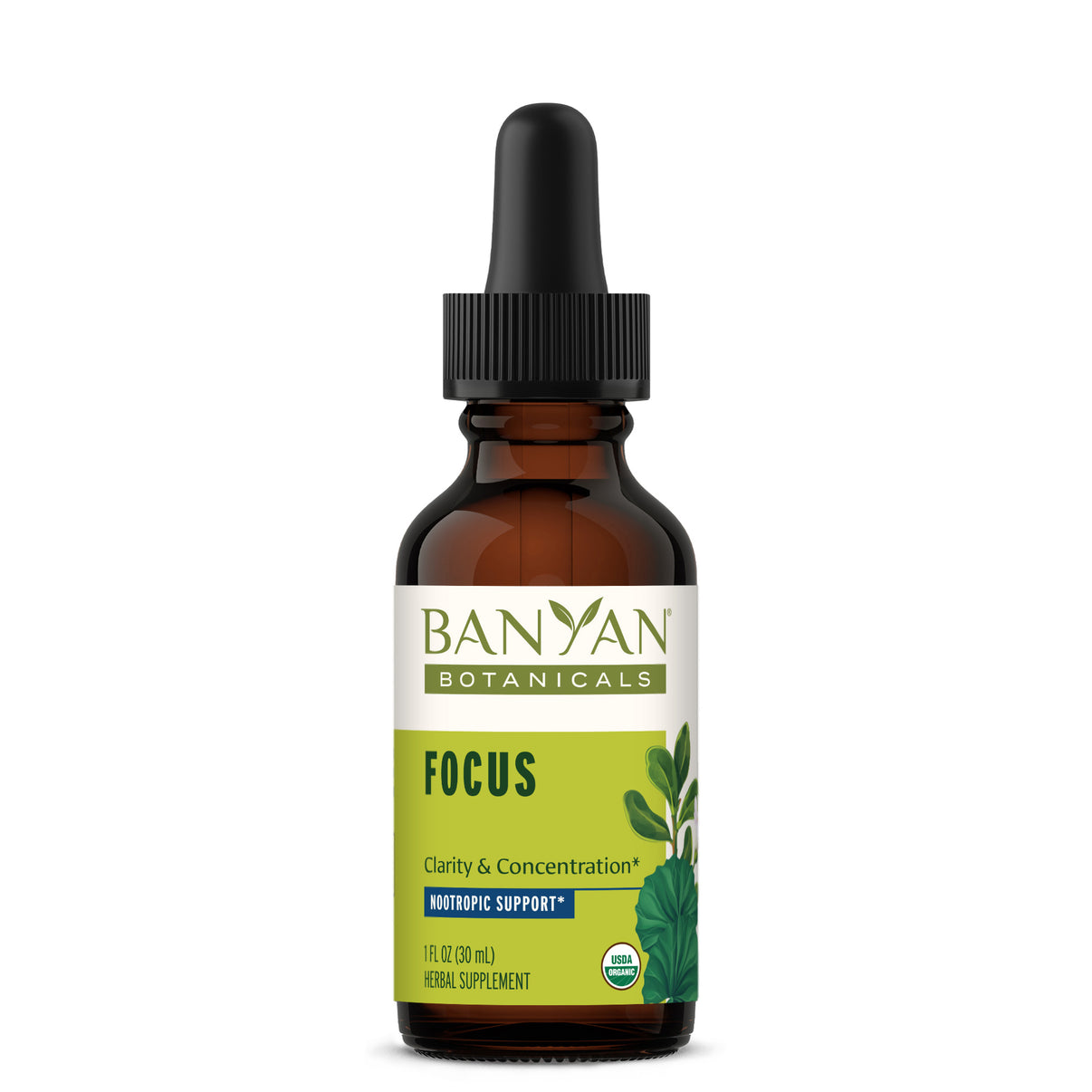 Focus Herbal Extract | Focus Supplements & Herbal Extracts ...