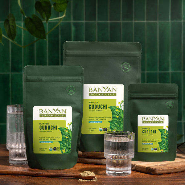 Guduchi Powder - Tinospora Cordifolia | Giloy Powder – Banyan Botanicals