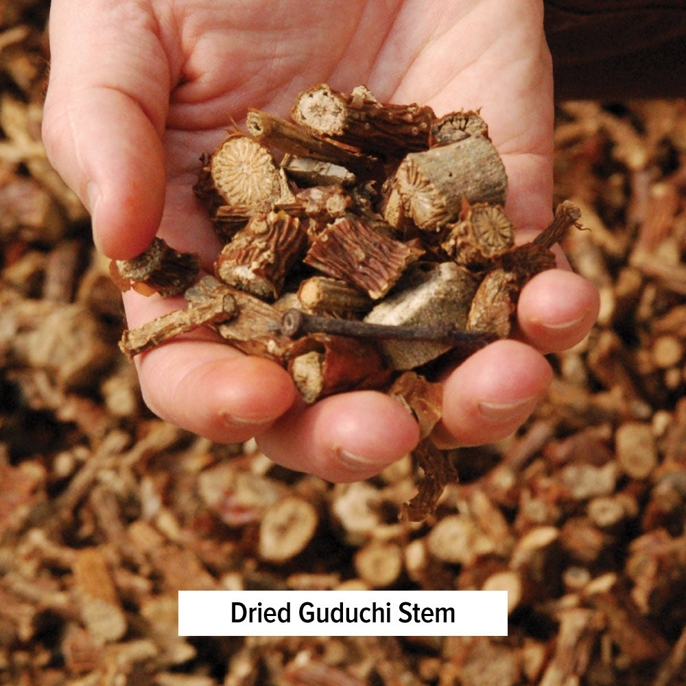 Kaishore Guggulu Powder | Herbs for Joints and Muscles - Pitta ...