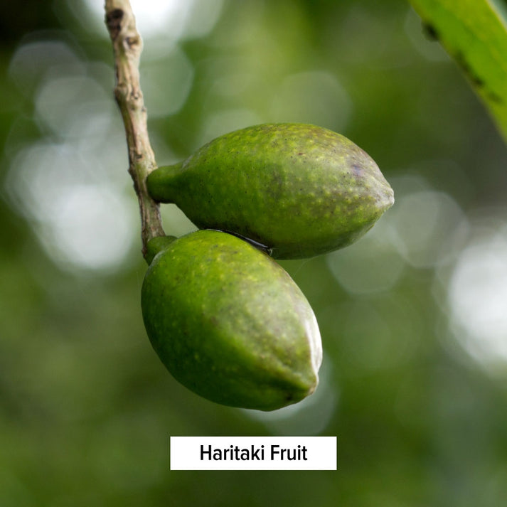 Triphala Powder | Organic Digestive Aid Supporting Regularity – Banyan ...