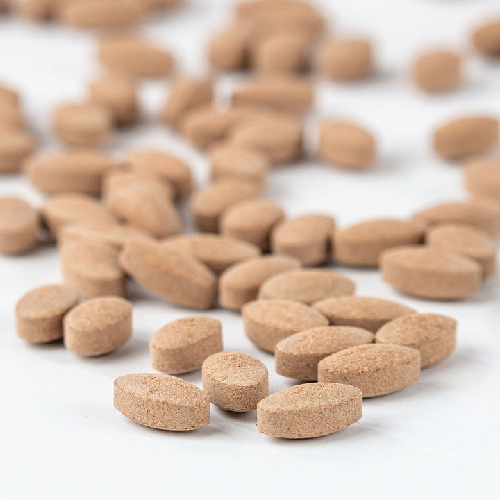 Understanding Your Pitta Constitution – Banyan Botanicals