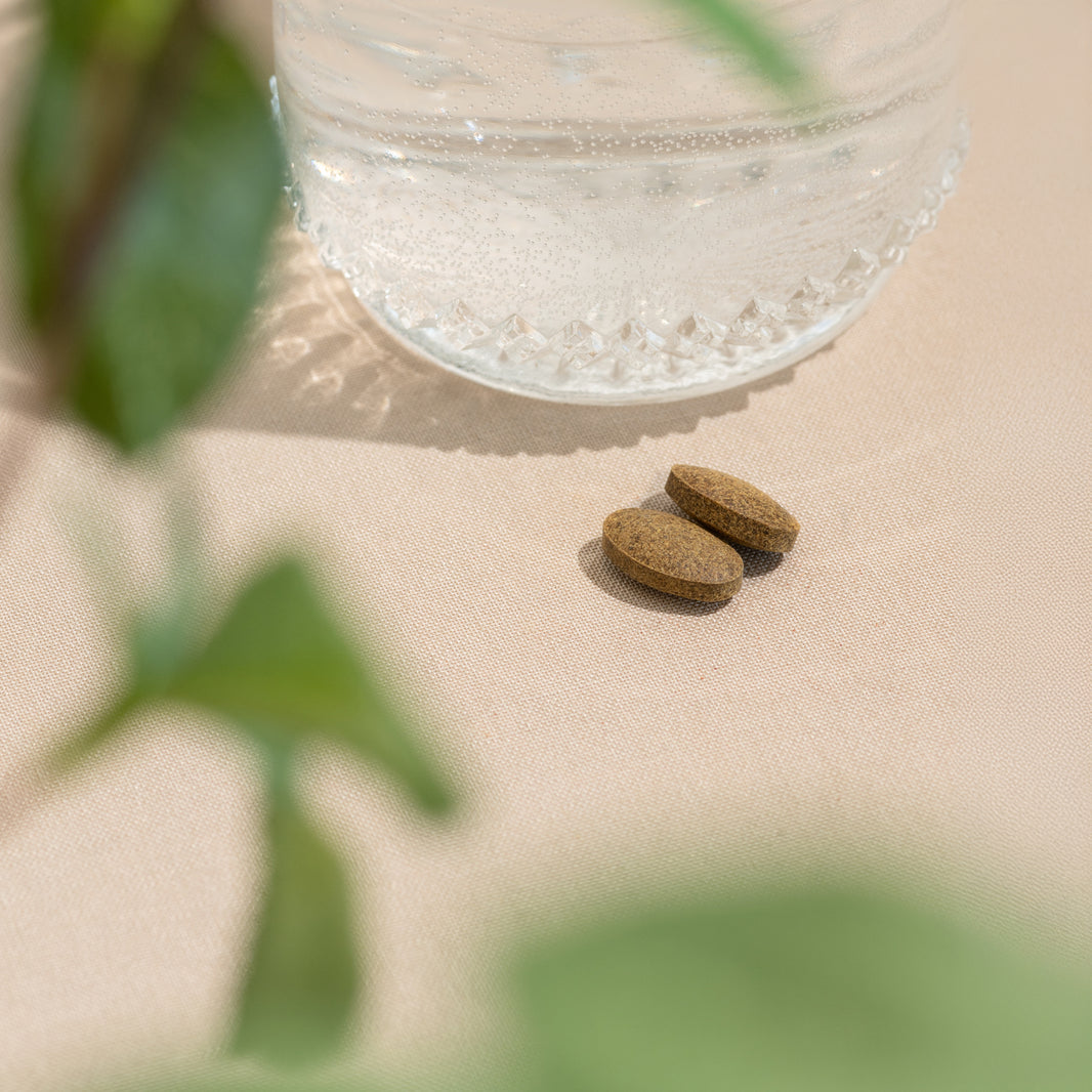 Pitta Dosha Balancing - Ayurveda – Banyan Botanicals