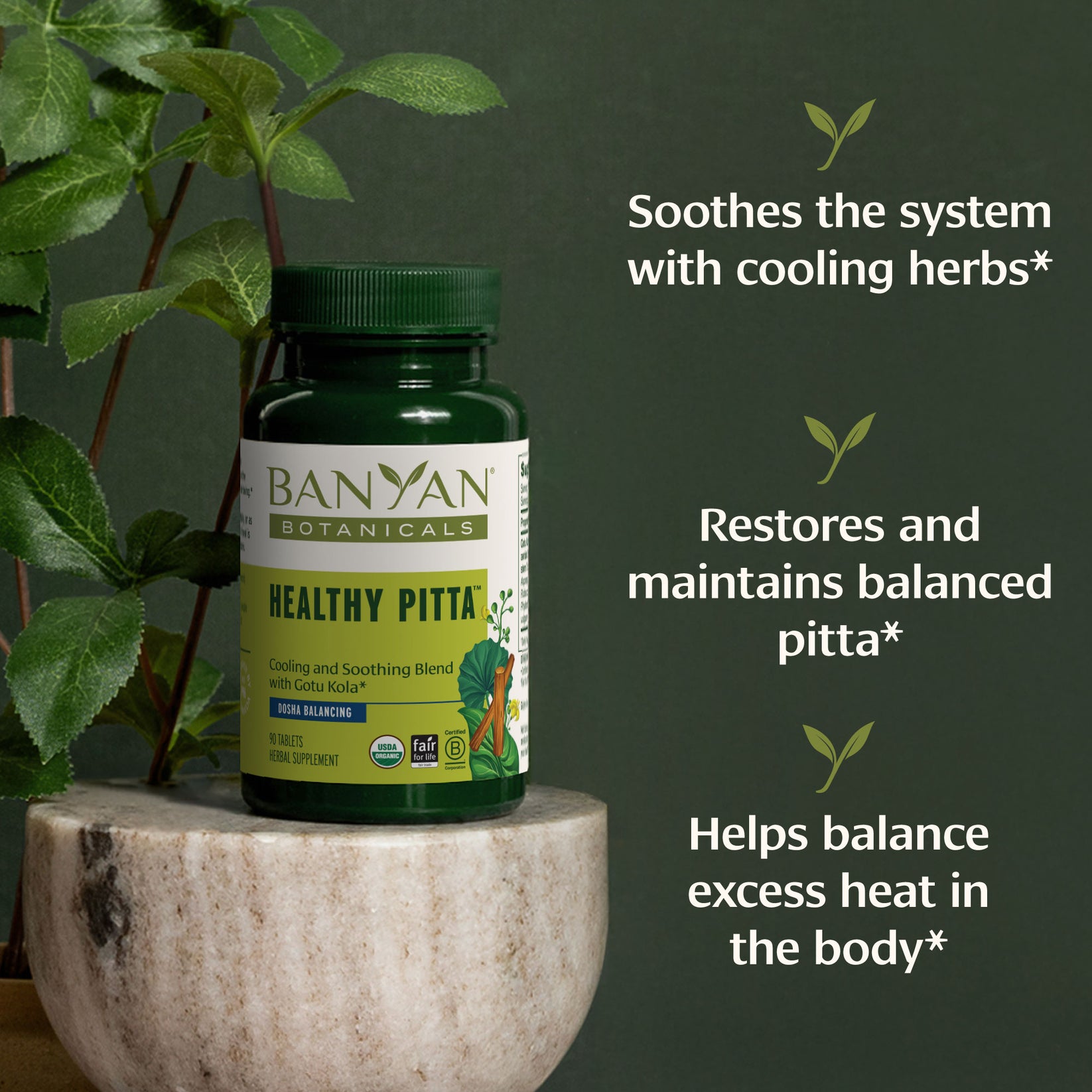 Healthy Pitta tablets | Ayurvedic Supplements for Balancing Pitta Dosha ...