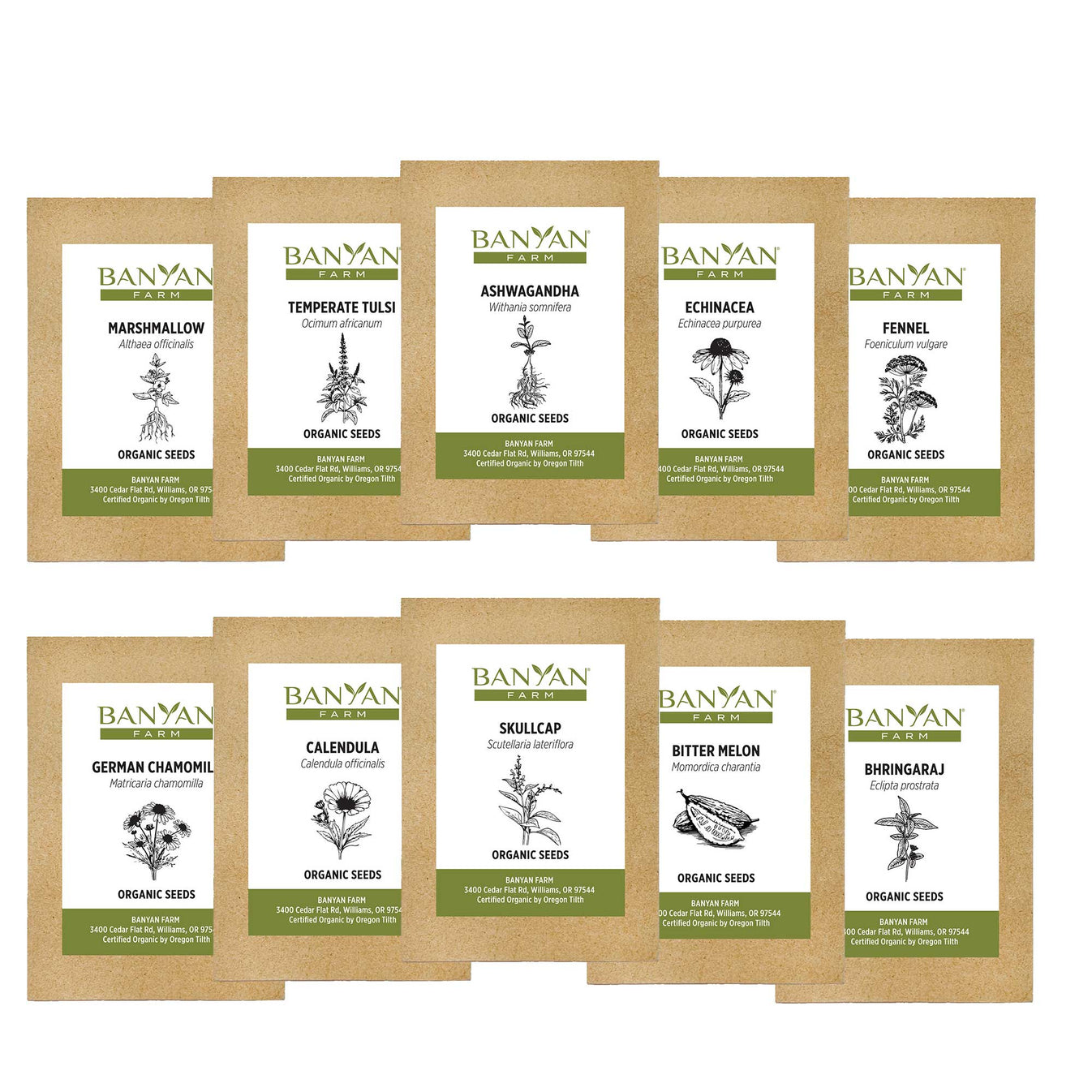 Herb Seed Bundle | Non-GMO, Organic Herb Seeds for Sale – Banyan Botanicals