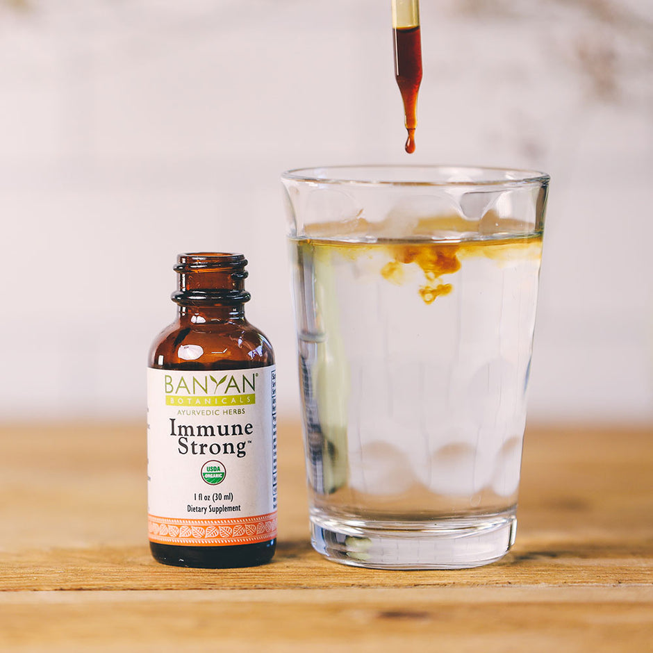 Herbal Extracts | Ayurvedic Liquid Extracts – Banyan Botanicals