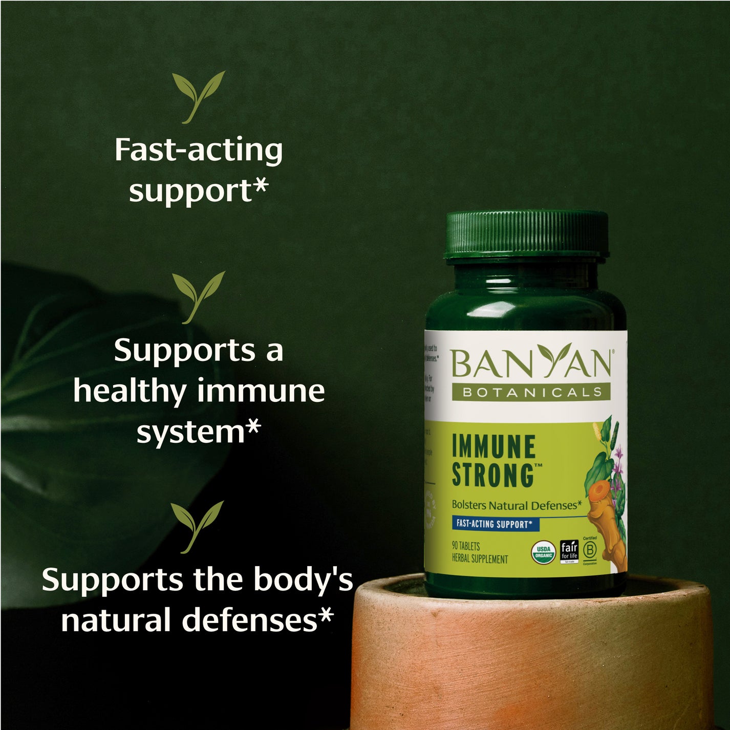 Organic Immune Strong™ Supplements - Immune System Supplements – Banyan ...