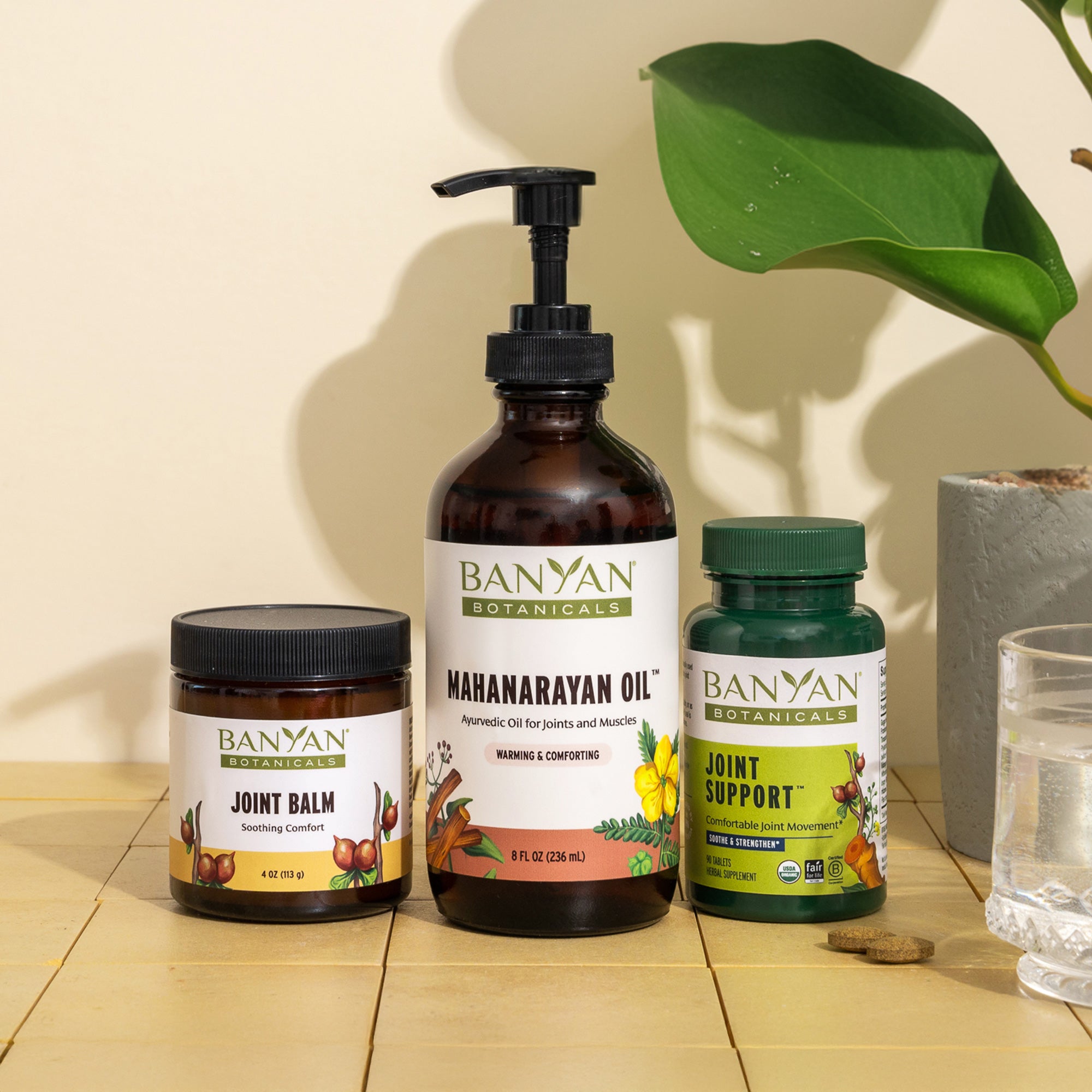 Joint Comfort Bundle – Banyan Botanicals