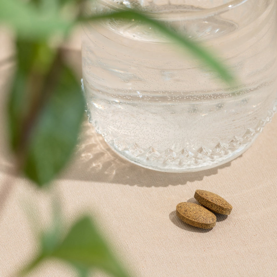 Herbal Supplements | Ayurvedic Supplements | Tablets – Banyan Botanicals