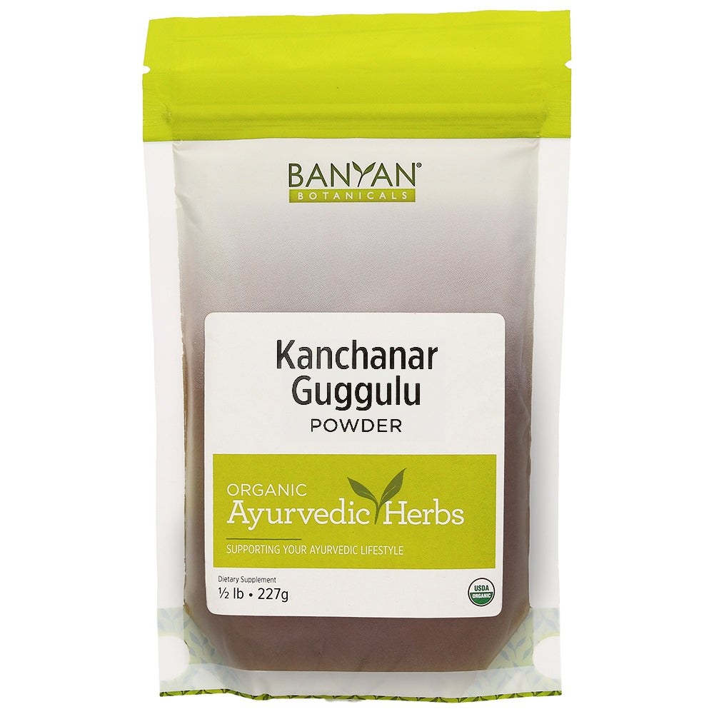 Kanchanar Guggulu Powder | Organic Kanchanar Guggulu Powder – Banyan ...