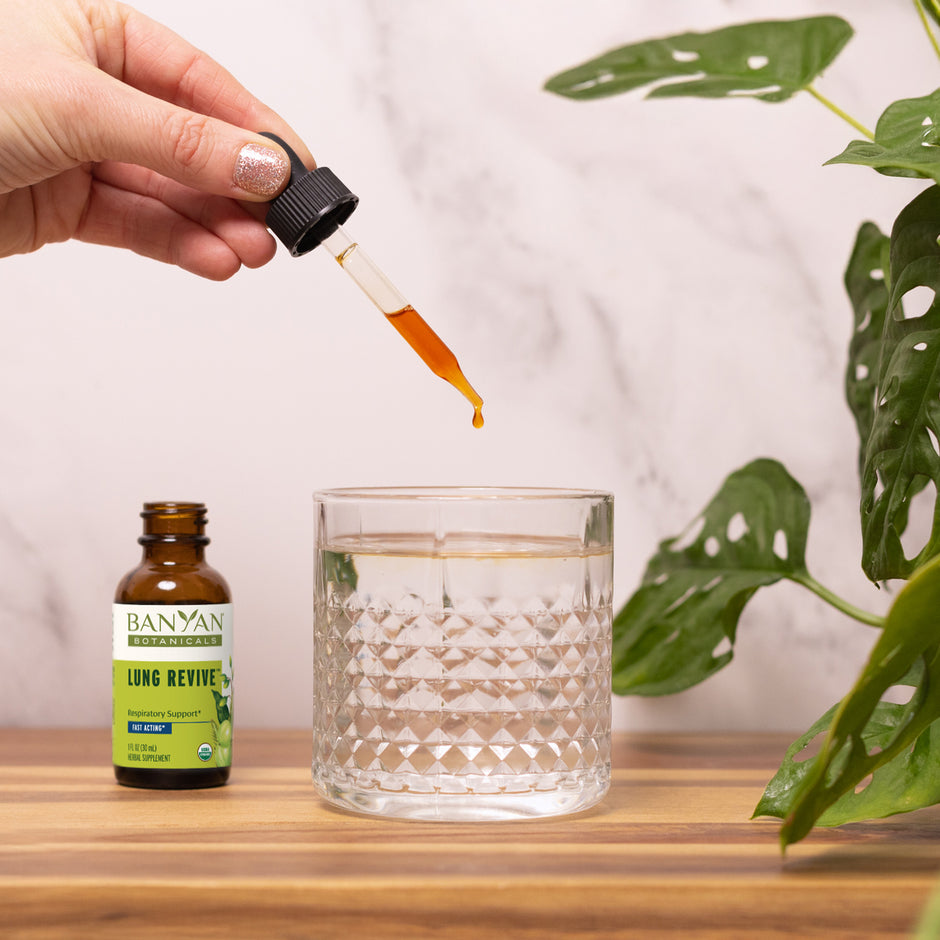 Herbal Extracts | Ayurvedic Liquid Extracts – Banyan Botanicals