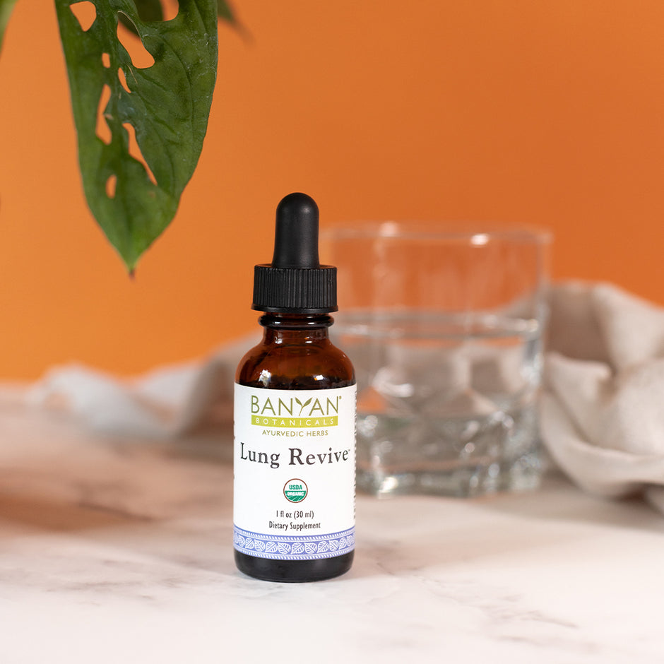Herbal Extracts | Ayurvedic Liquid Extracts – Banyan Botanicals