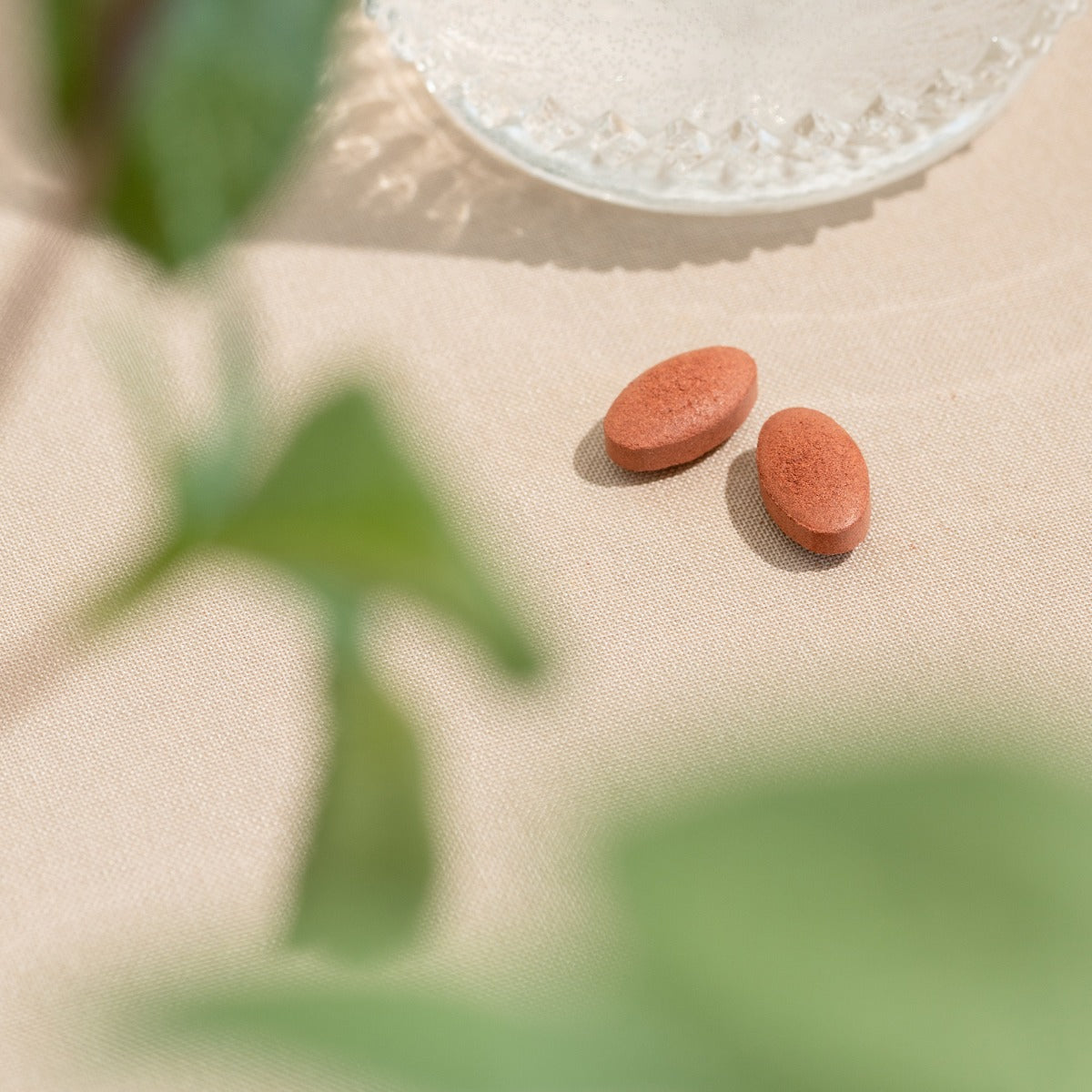 Manjistha: Getting to Know Your Herbal Al – Banyan Botanicals