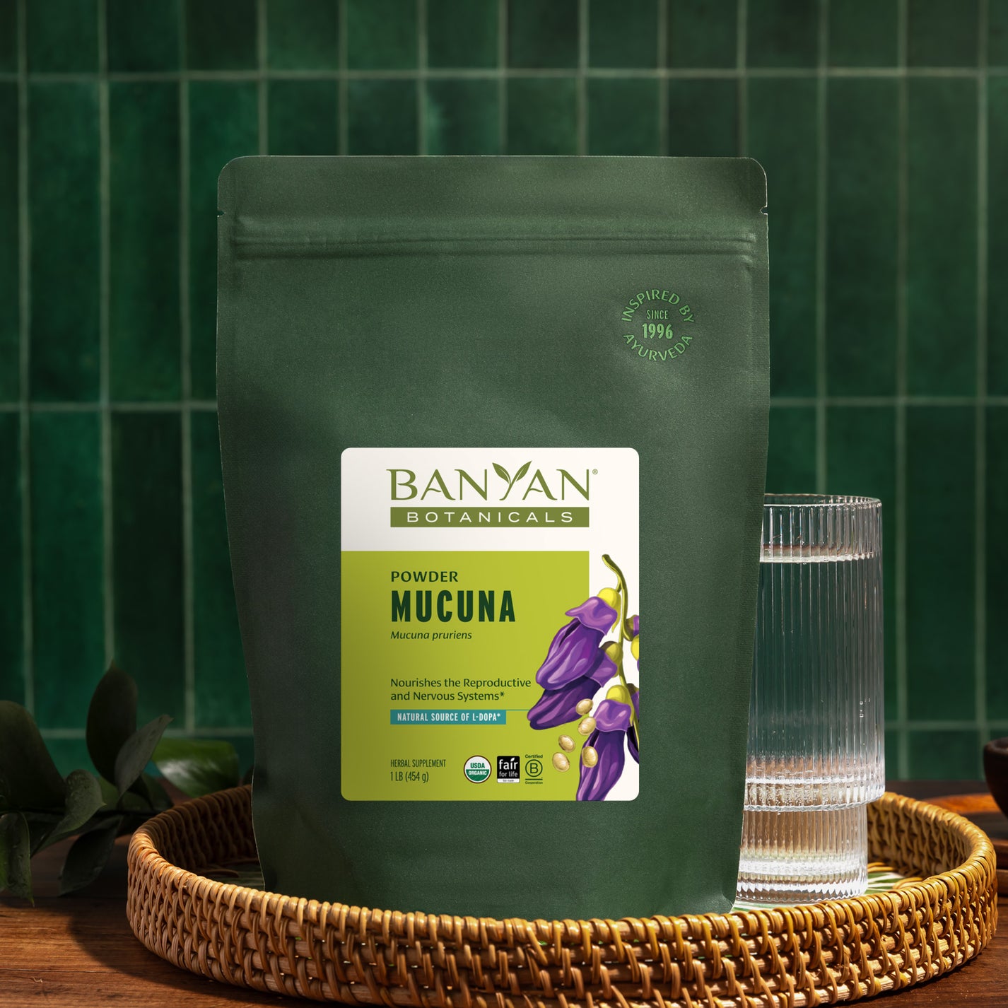 Kapikacchu Powder | Mucuna Pruriens Powder (Velvet Bean) – Banyan ...