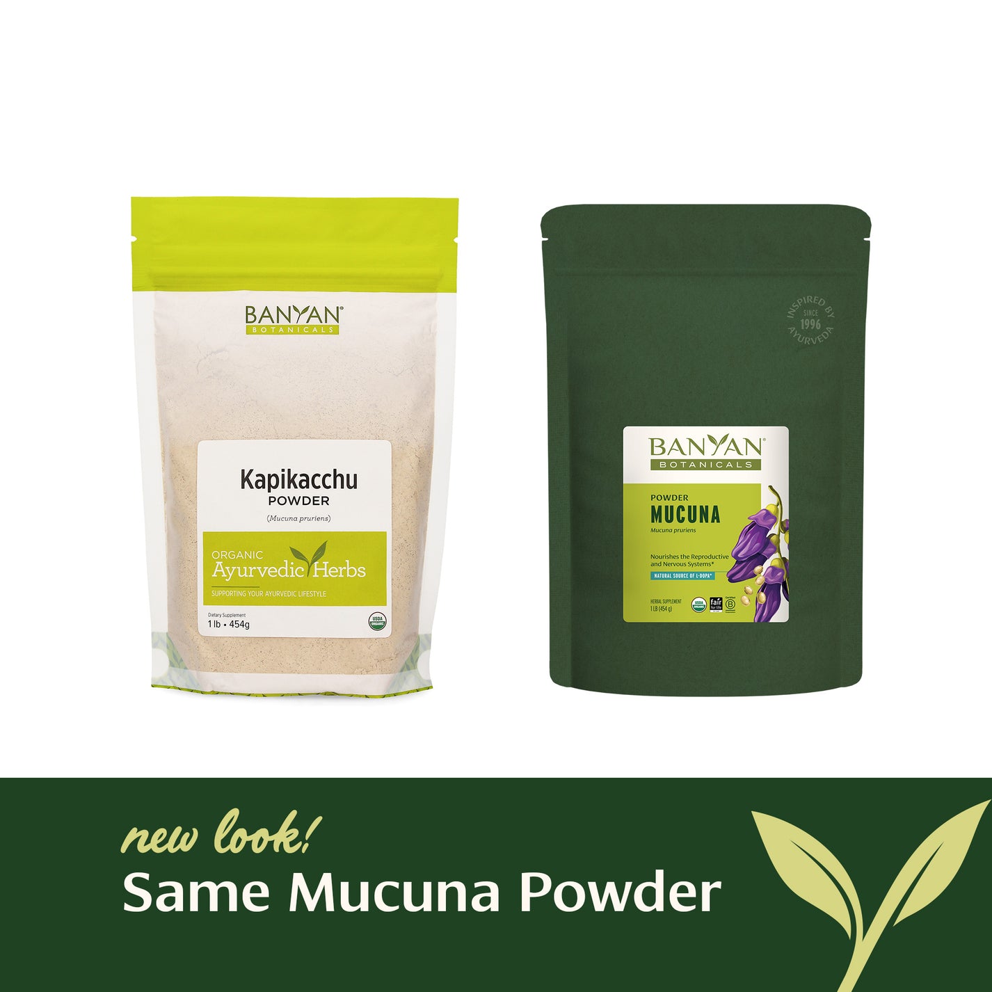 Kapikacchu Powder | Mucuna Pruriens Powder (Velvet Bean) – Banyan ...