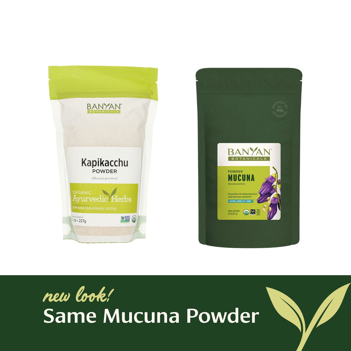 Kapikacchu Powder | Mucuna Pruriens Powder (Velvet Bean) – Banyan ...
