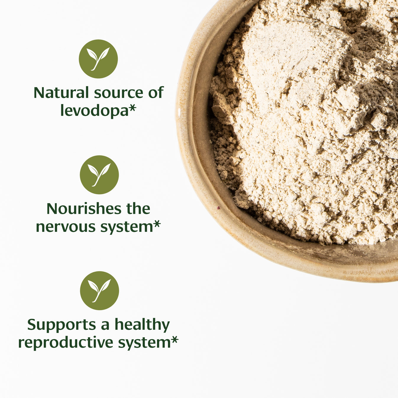 Kapikacchu Powder | Mucuna Pruriens Powder (Velvet Bean) – Banyan ...