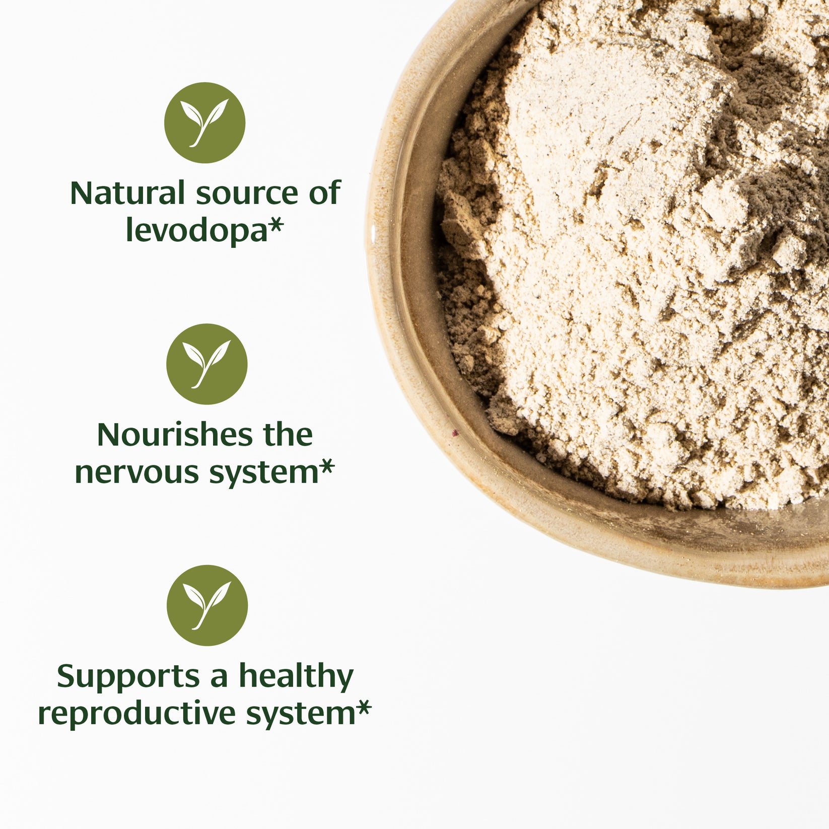 Kapikacchu Powder | Mucuna Pruriens Powder (Velvet Bean) – Banyan ...