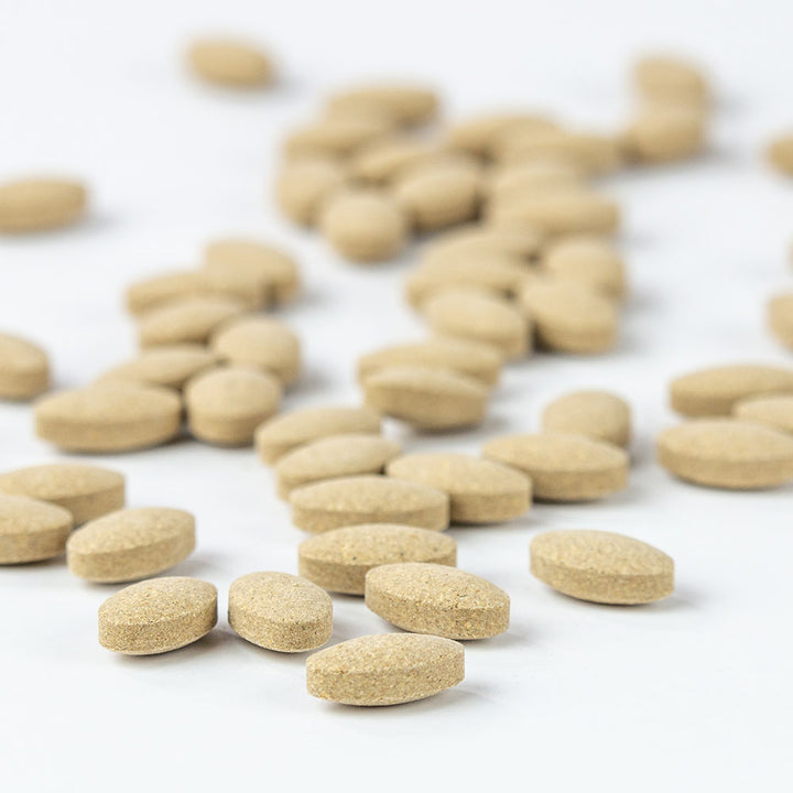 Improve Gut Health and Digestion with Ayurveda – Banyan Botanicals