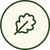 Vasaka Powder | Adhatoda Vasica | Organic Vasaka Powder – Banyan Botanicals