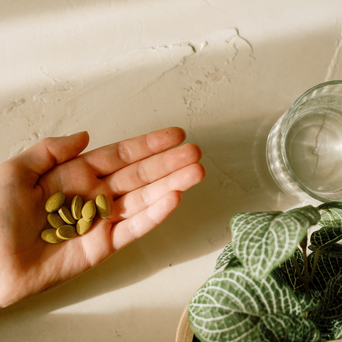 5 Reasons to Start Putting Oil in Your Nose – Banyan Botanicals